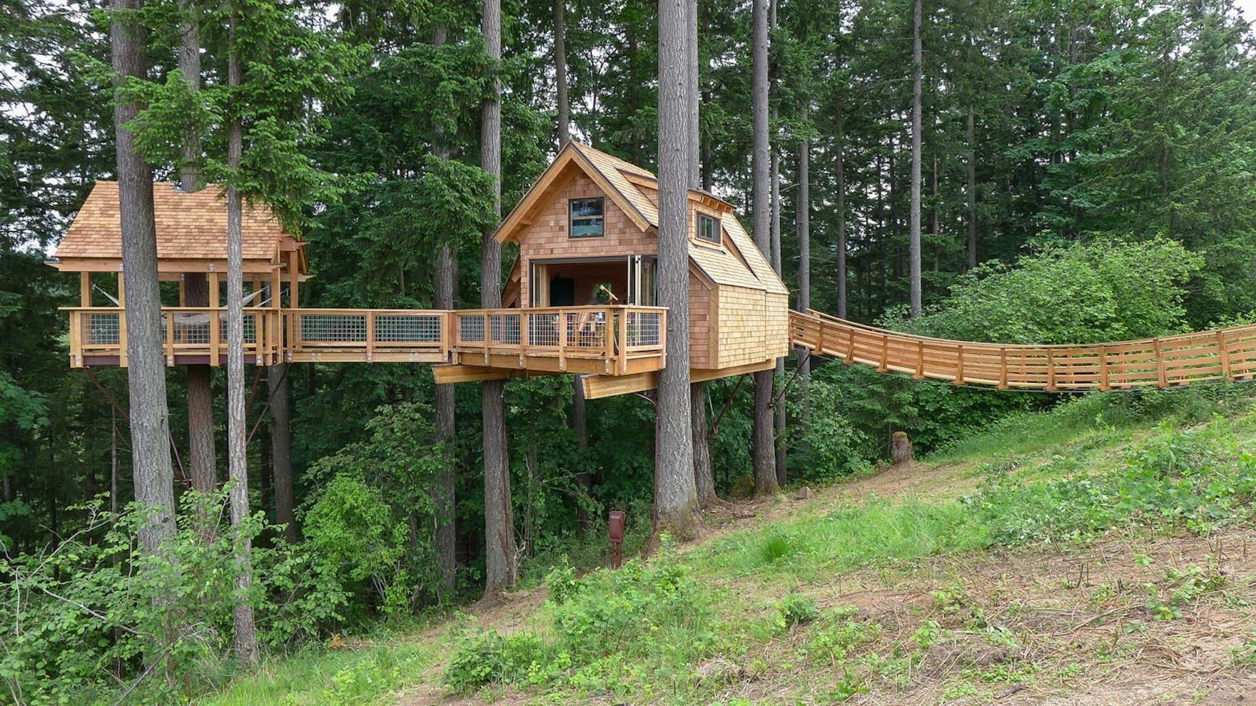 How Tree House Master Pete Nelson Built an Empire in the Woods - Dwell