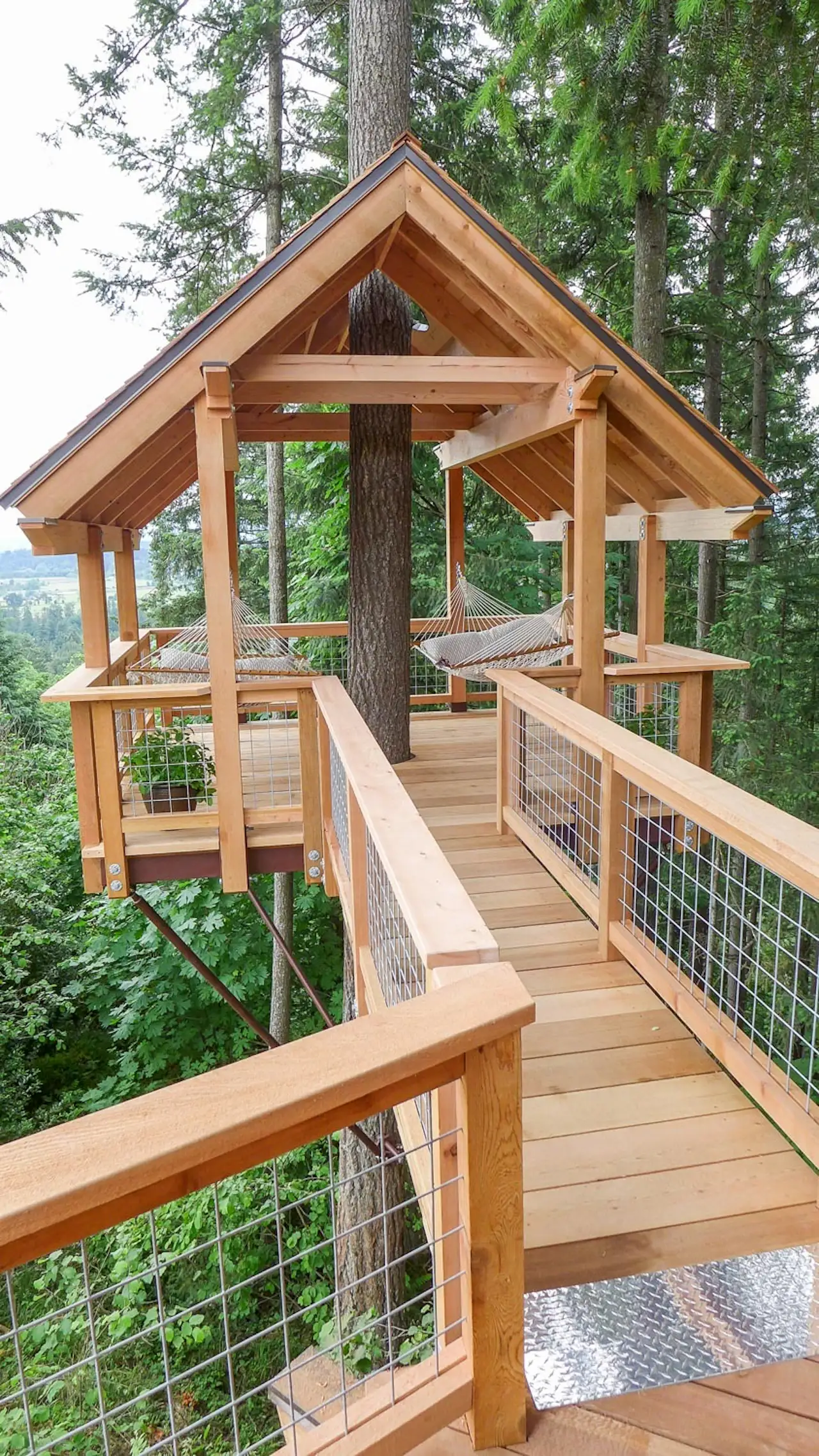 Photo 11 of 11 in How Tree House Master Pete Nelson Built an Empire in ...