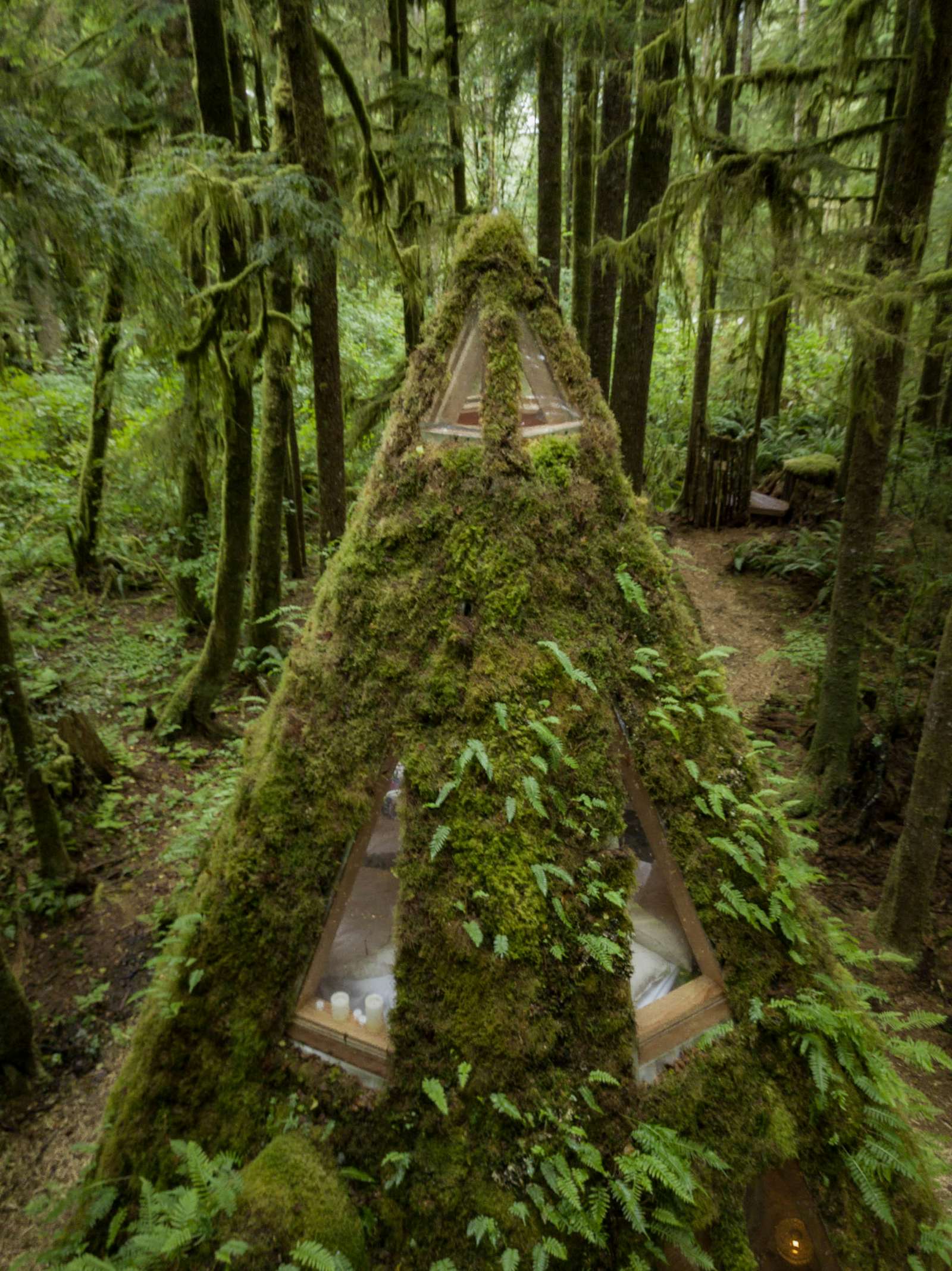 Photo 11 of 13 in This Dreamy Diamond Cabin Is Straight Out of a Fairy ...