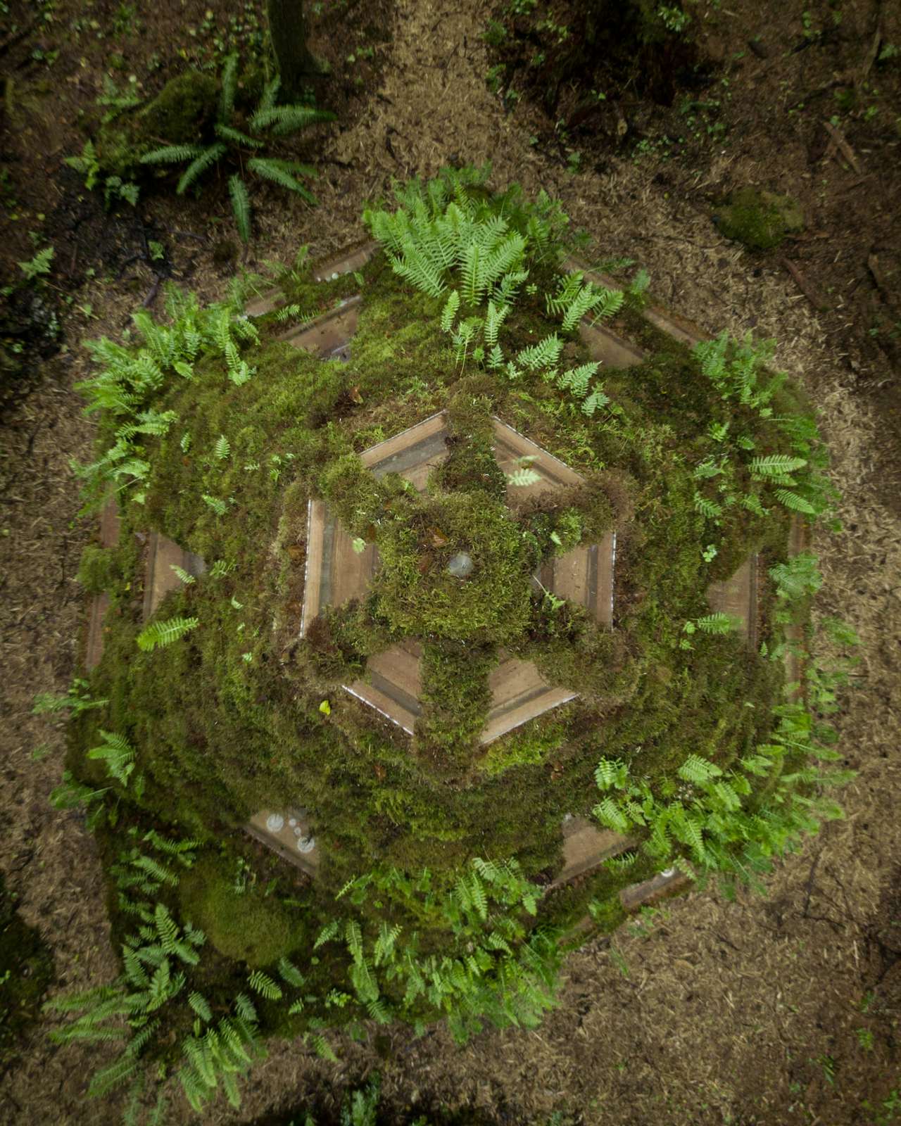 Diamond Cabin by Jacob Witzling and Sara Underwood - Dwell