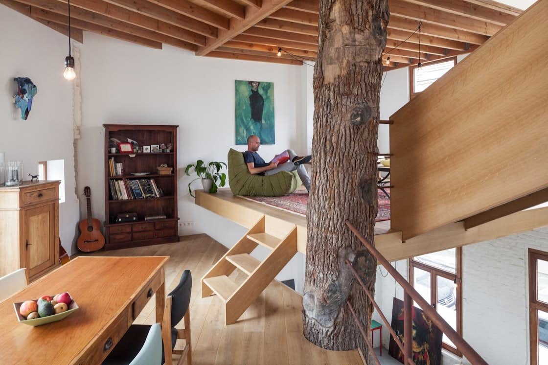 23 Unconventional Homes Built Around Trees - Dwell