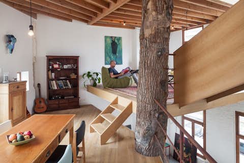 23 Unconventional Homes Built Around Trees - Dwell