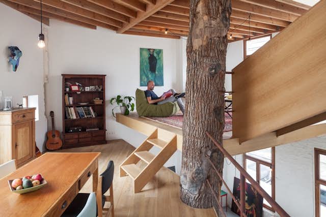 23 Unconventional Homes Built Around Trees - Dwell