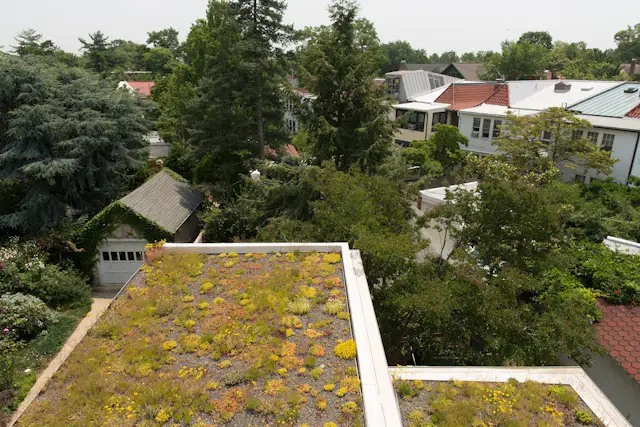 Photo 5 of 7 in 4 Easy Steps to Creating Your Own DIY Green Roof - Dwell