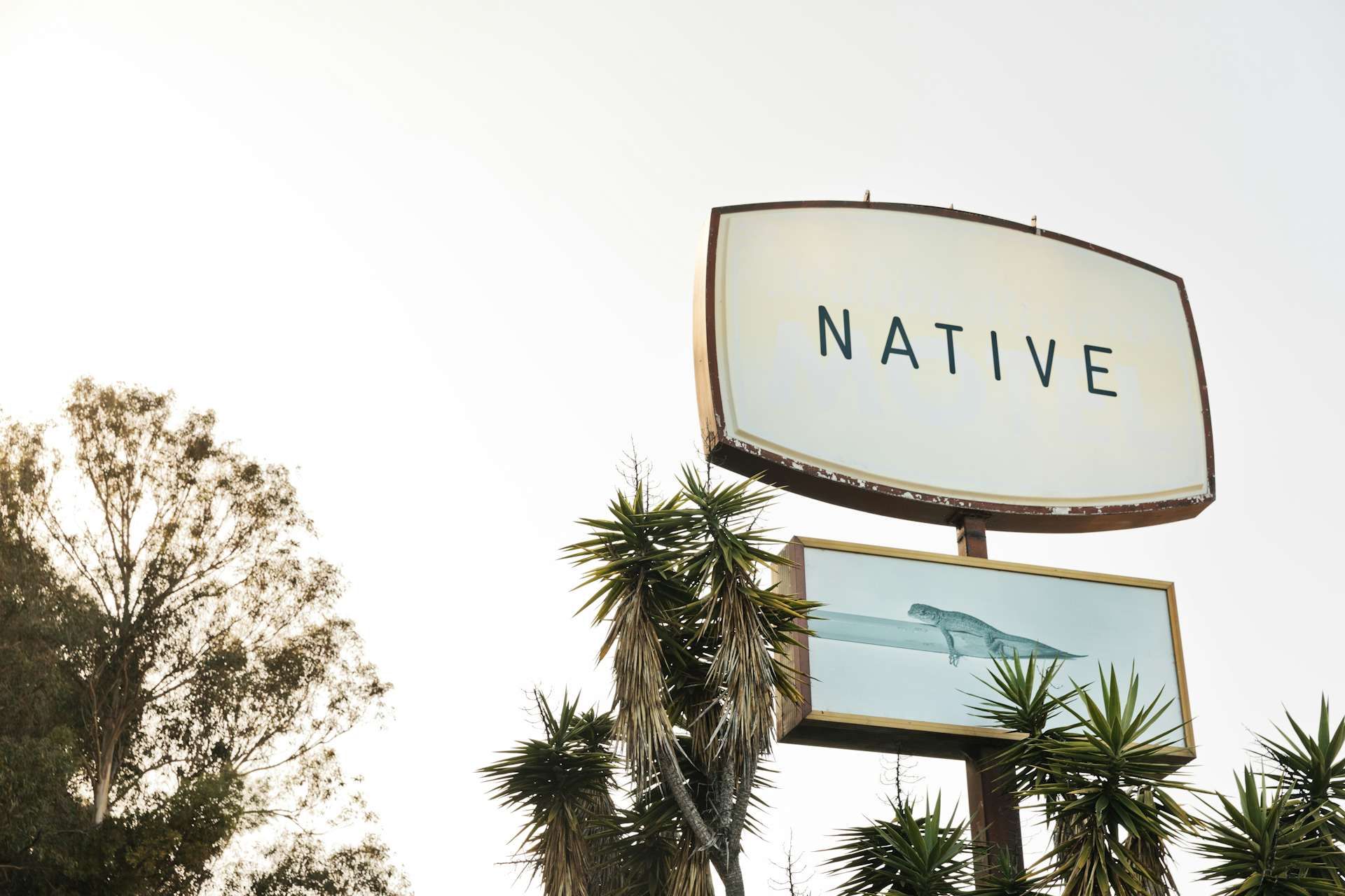 The Native Hotel (10 Photos) - Dwell
