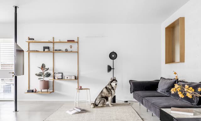 Photo 2 of 5 in Top 5 Homes of the Week That Make Room For Furry ...