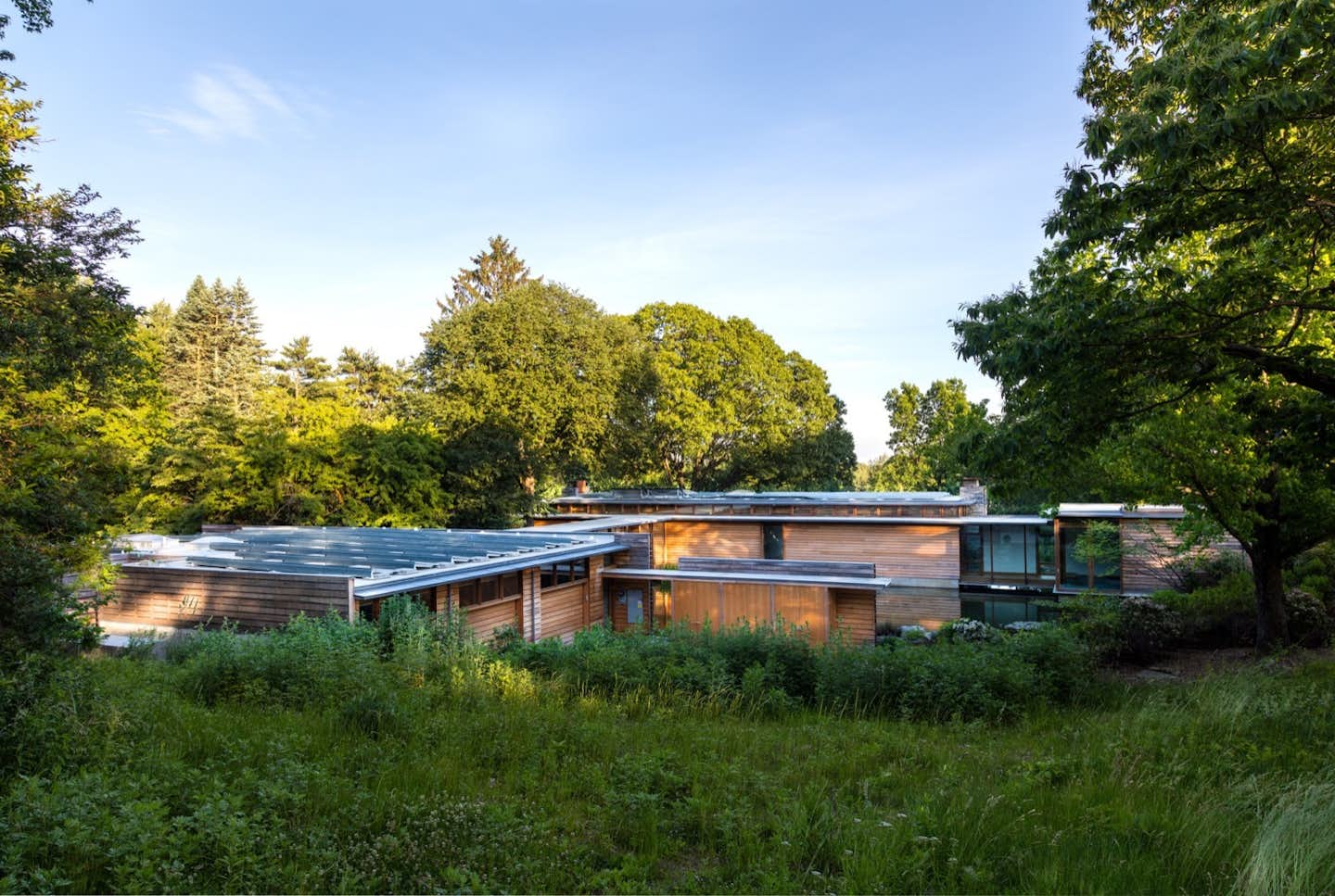 This Striking Net-Zero Home Wraps Around a Serene Pond - Dwell