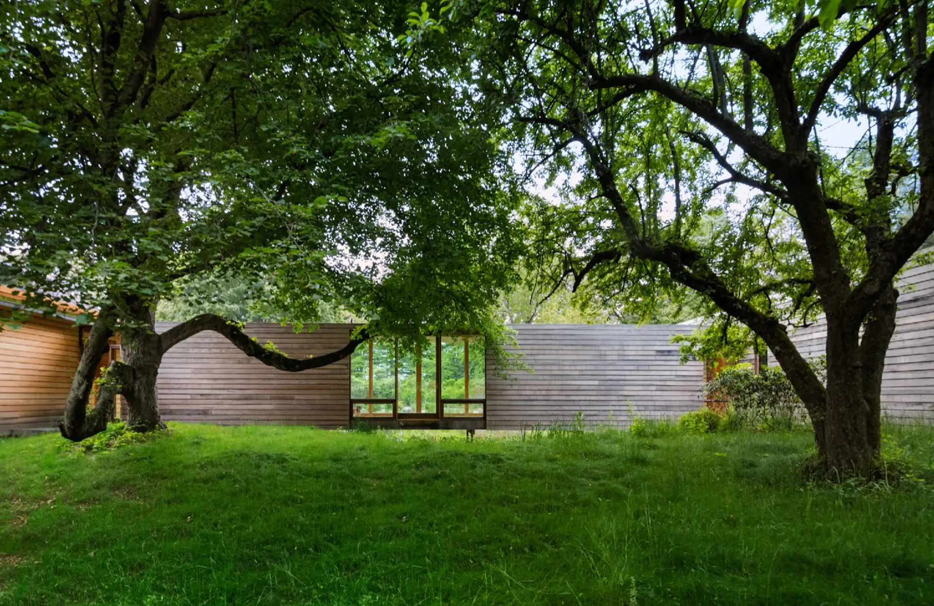This Striking Net-Zero Home Wraps Around a Serene Pond - Dwell