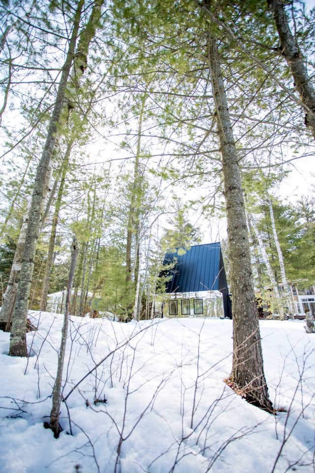 Photo 2 of 24 in This Mirrored Cabin Playfully Brings a Forest Indoors ...