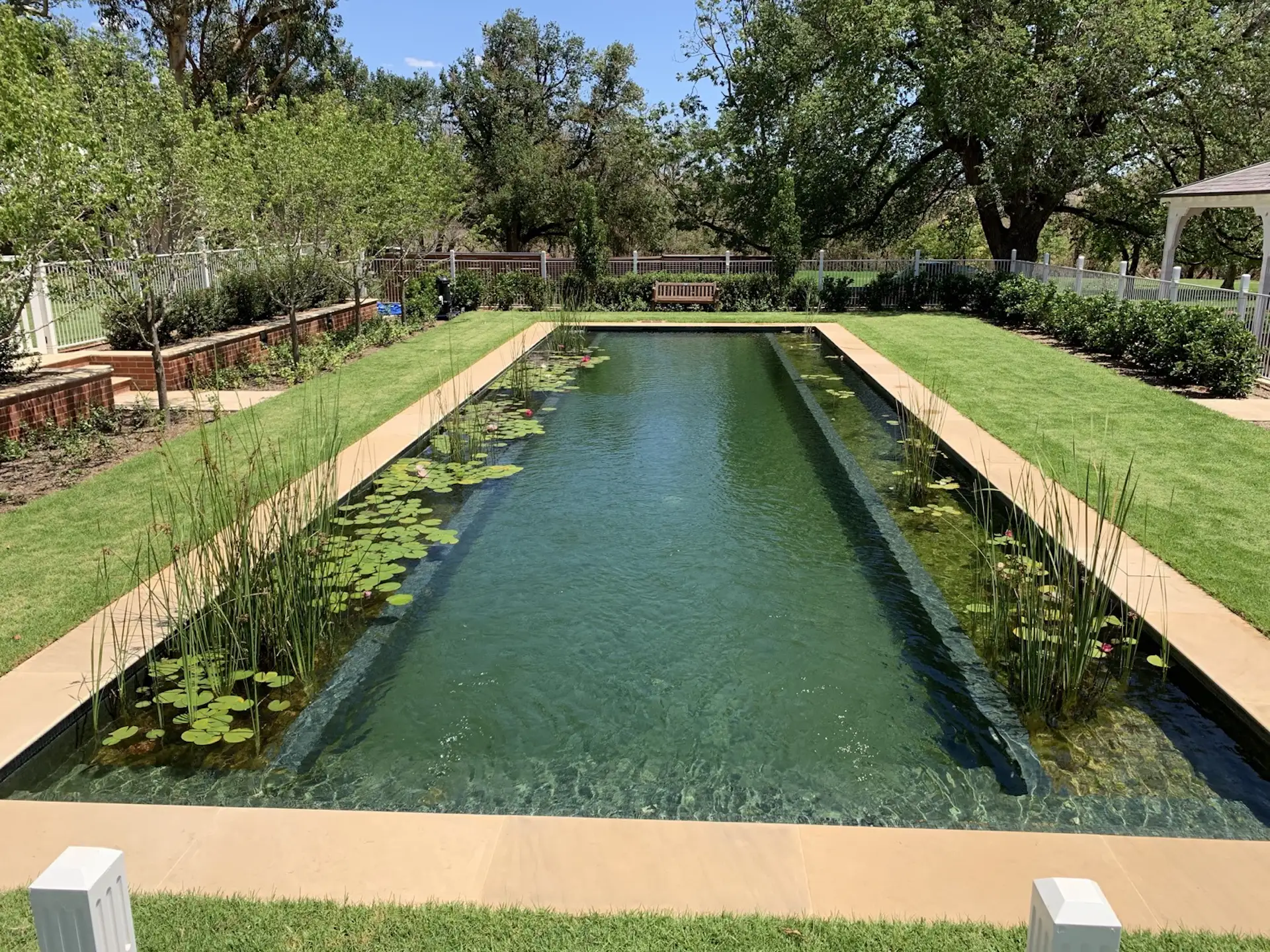 7 Natural Swimming Pools That Are Completely Chlorine-Free - Dwell