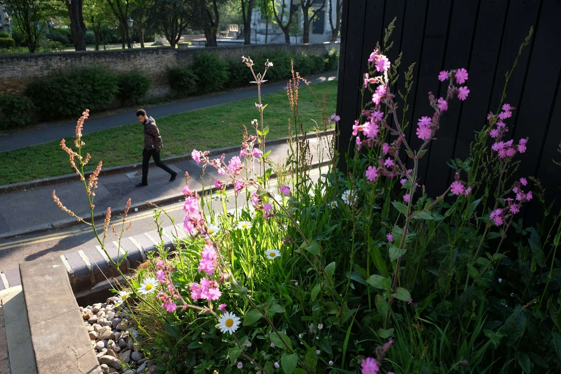 Crossfield Street House by Jonathan Pile Architect - Dwell