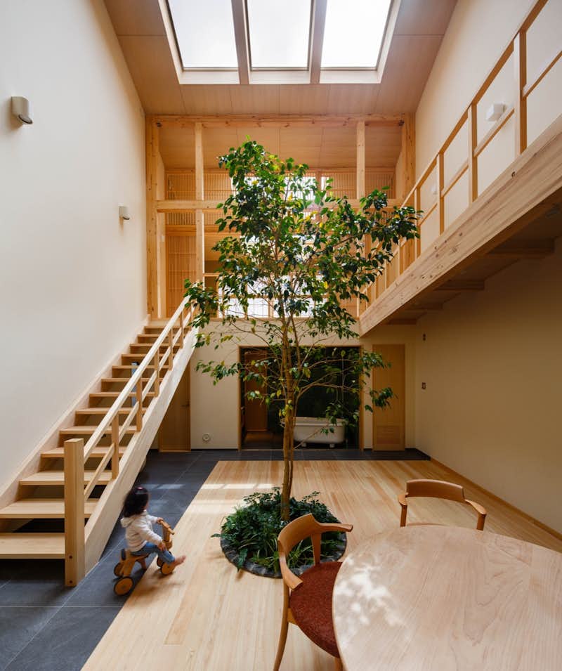23 Unconventional Homes Built Around Trees - Dwell