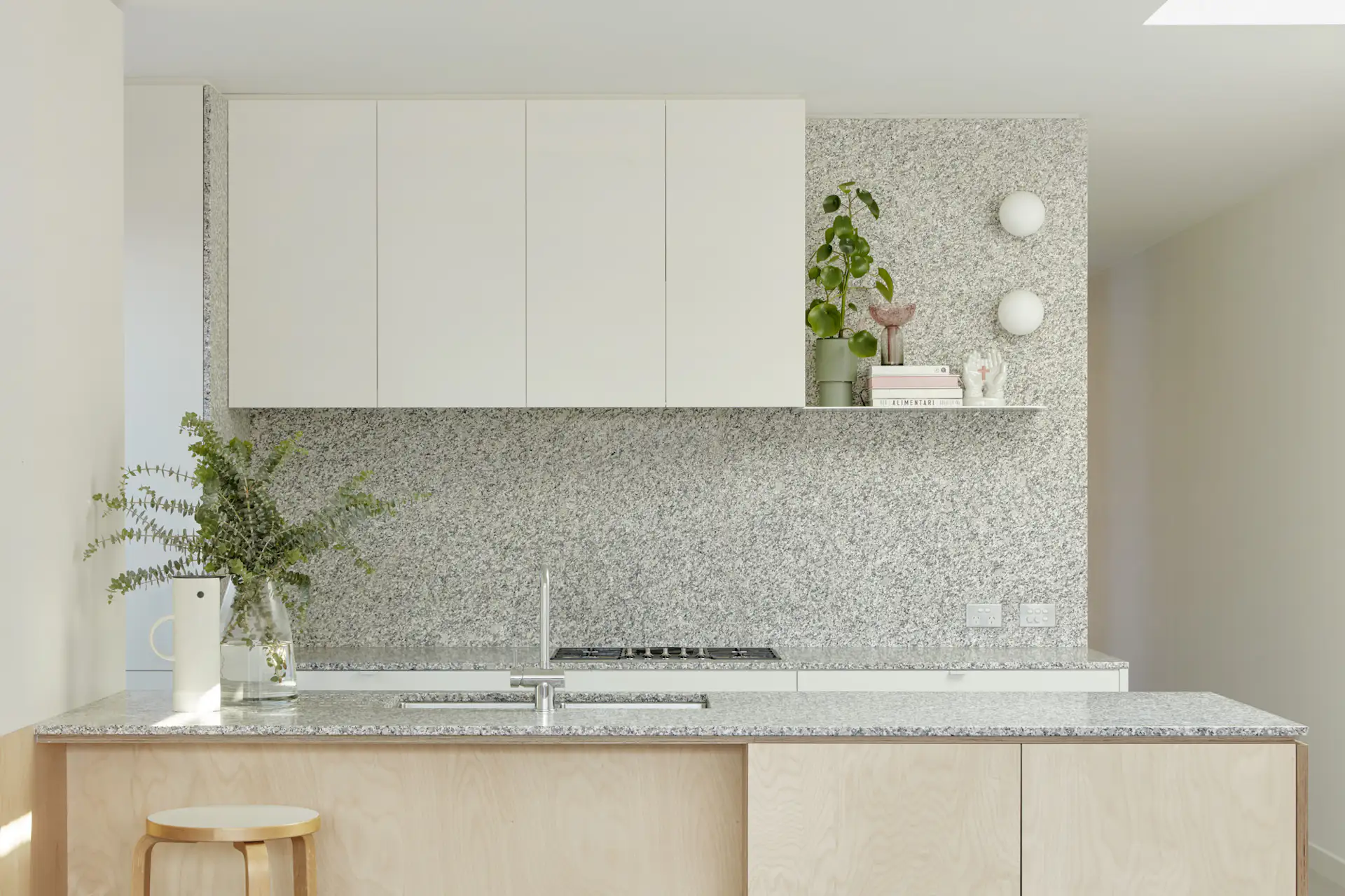 Kitchen Design Photos and Ideas - Dwell