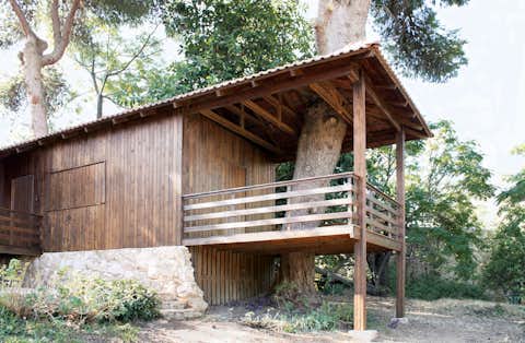 Two-Tree House (10 Photos) - Dwell