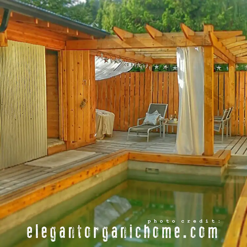 Elegant Organic Eco House with Saltwater Pool on Quarter Acre (24… - Dwell