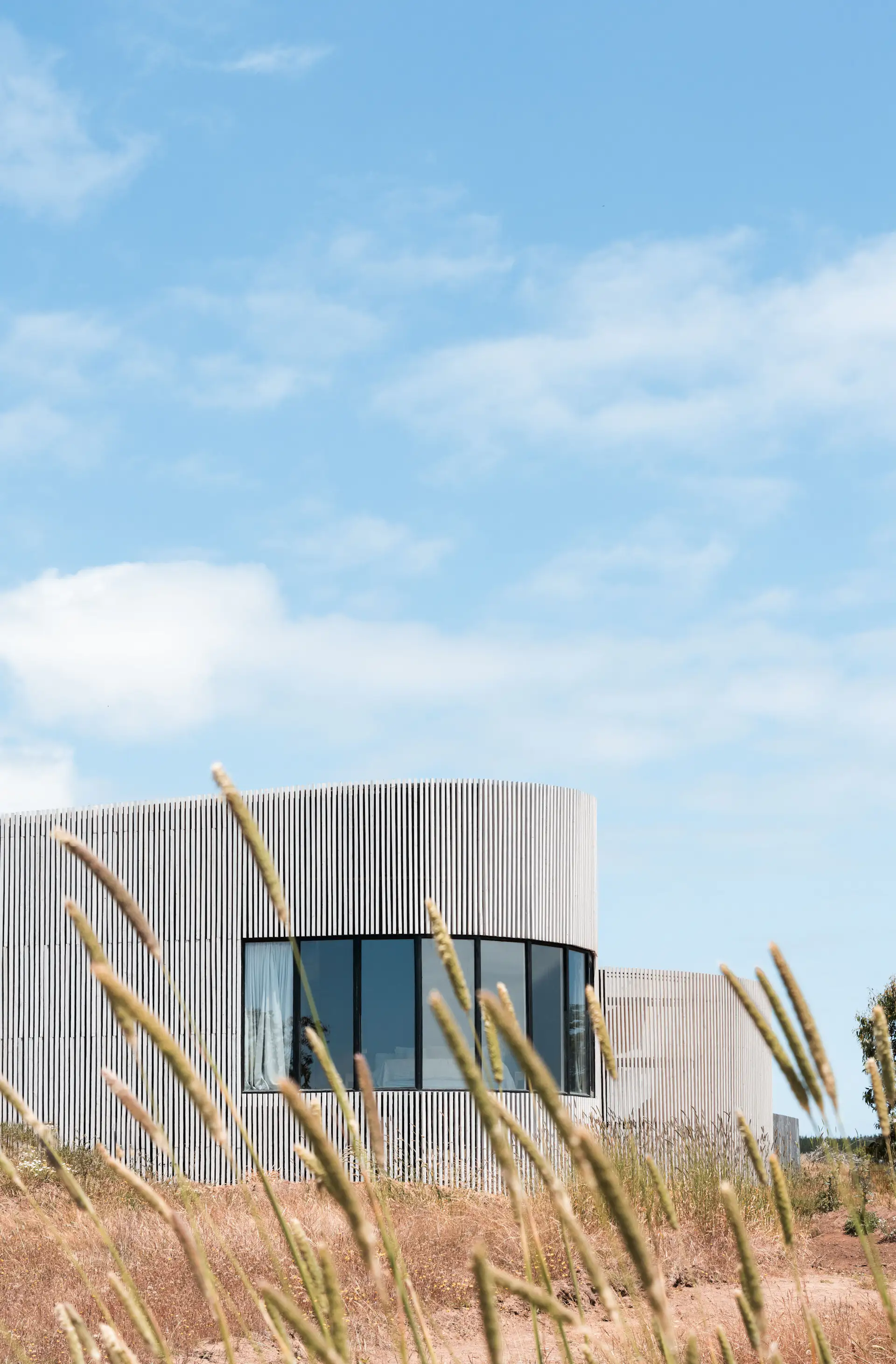Photo 8 of 15 in A Chilean Beach Home’s Sinuous Facade Is Designed for ...