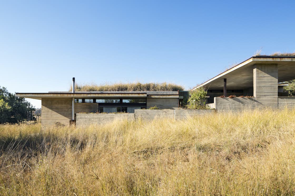 Photo 18 of 25 in 25 Green Roofs That Bring Spectacular Homes to New Levels - Dwell