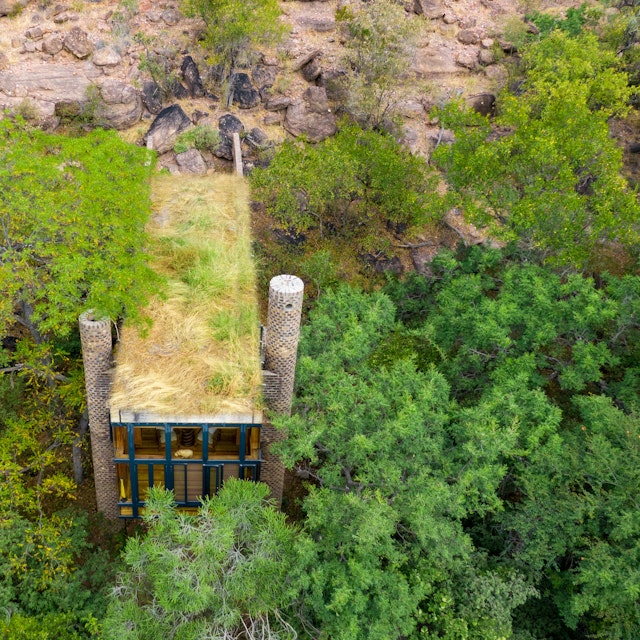 Photo 11 of 22 in A Magical, Off-Grid Guesthouse Disappears Into the South African Bushveld from ...
