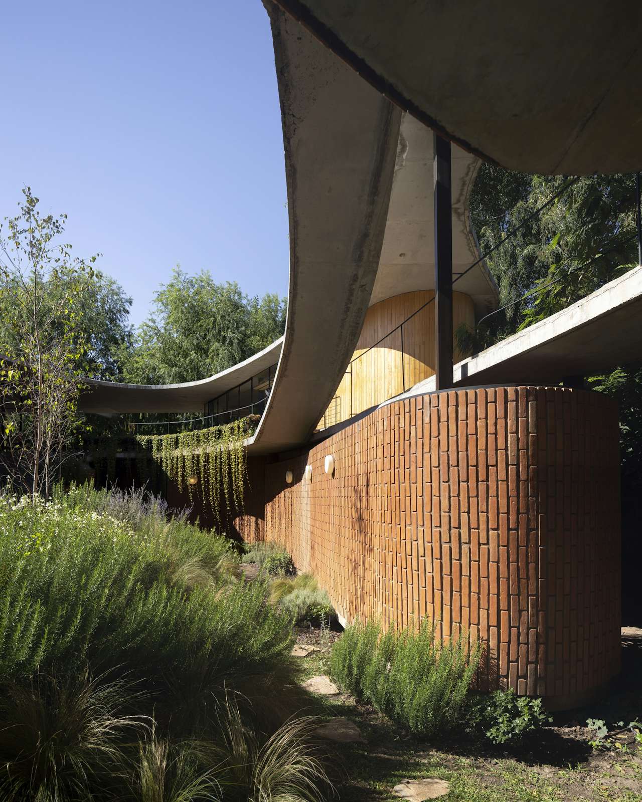 Photo 6 of 18 in A Swooping Concrete Canopy Crowns a Pavilion-Style ...