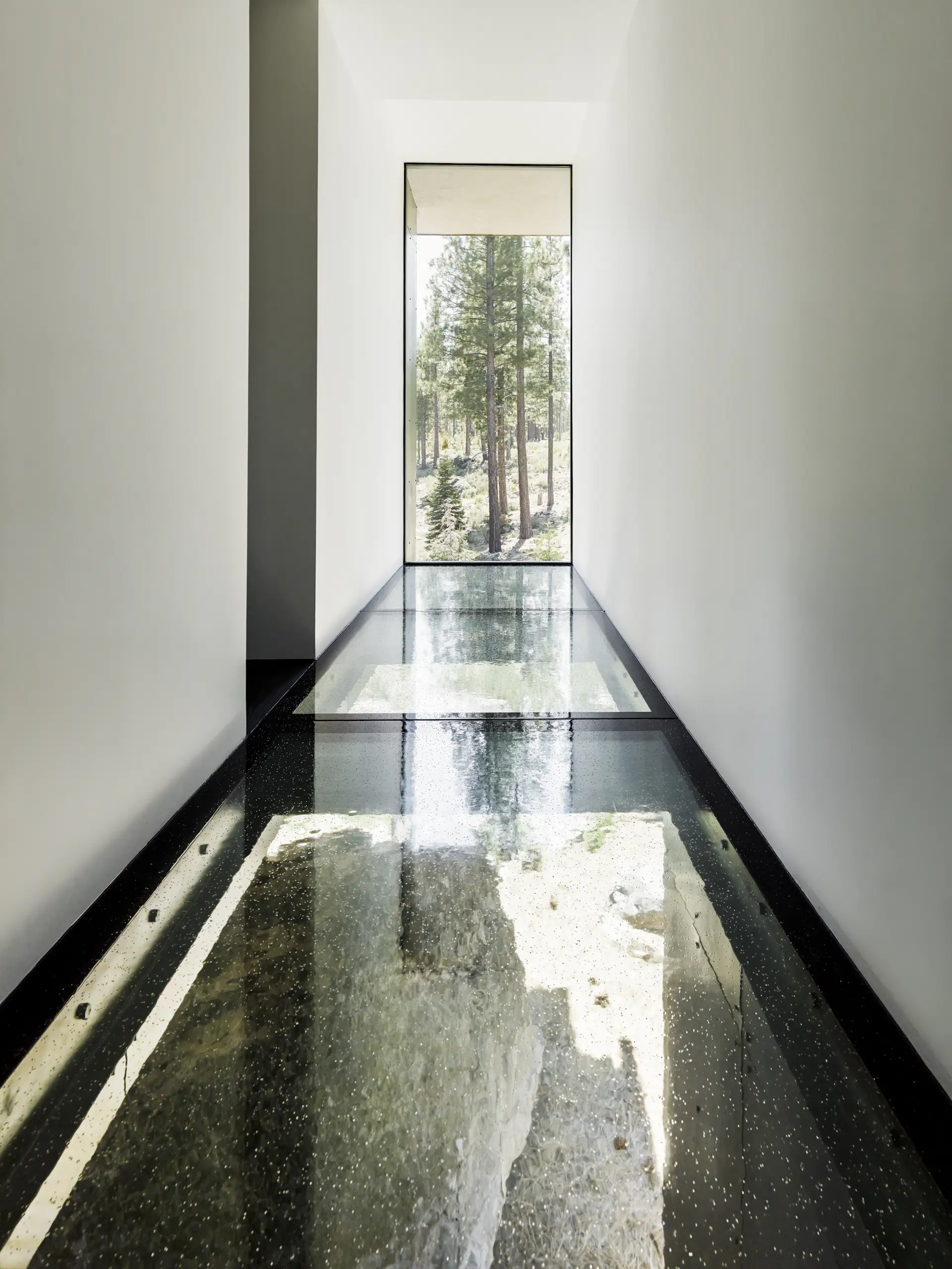 Creek House (10 Photos) - Dwell