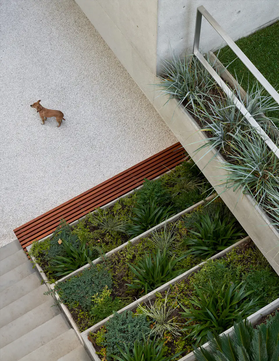 Photo 4 of 19 in Vertical Courtyard House by MONTALBA ARCHITECTS - Dwell