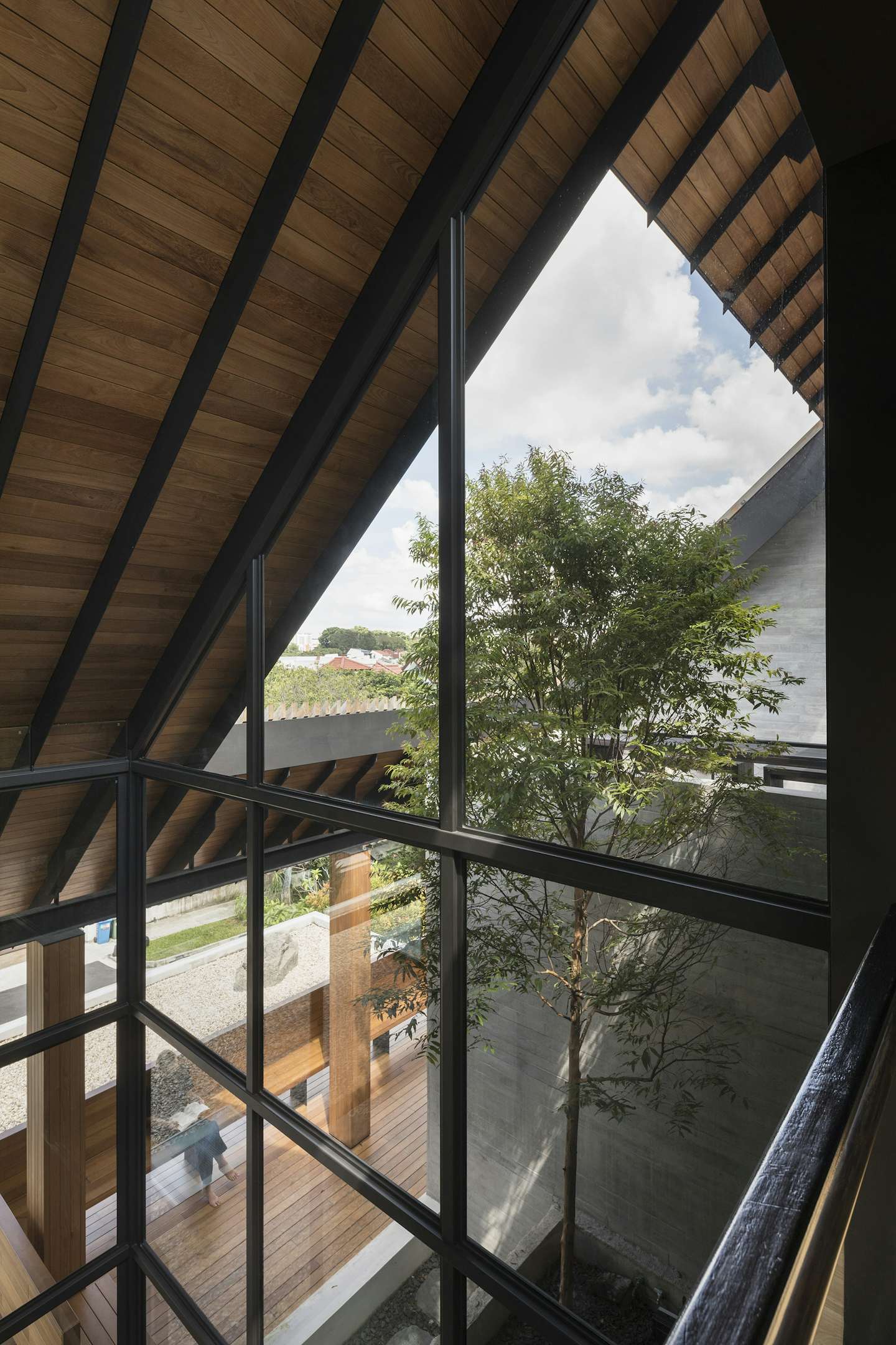 Photo 11 of 22 in A Towering Tree Grows Through the Roof of This ...