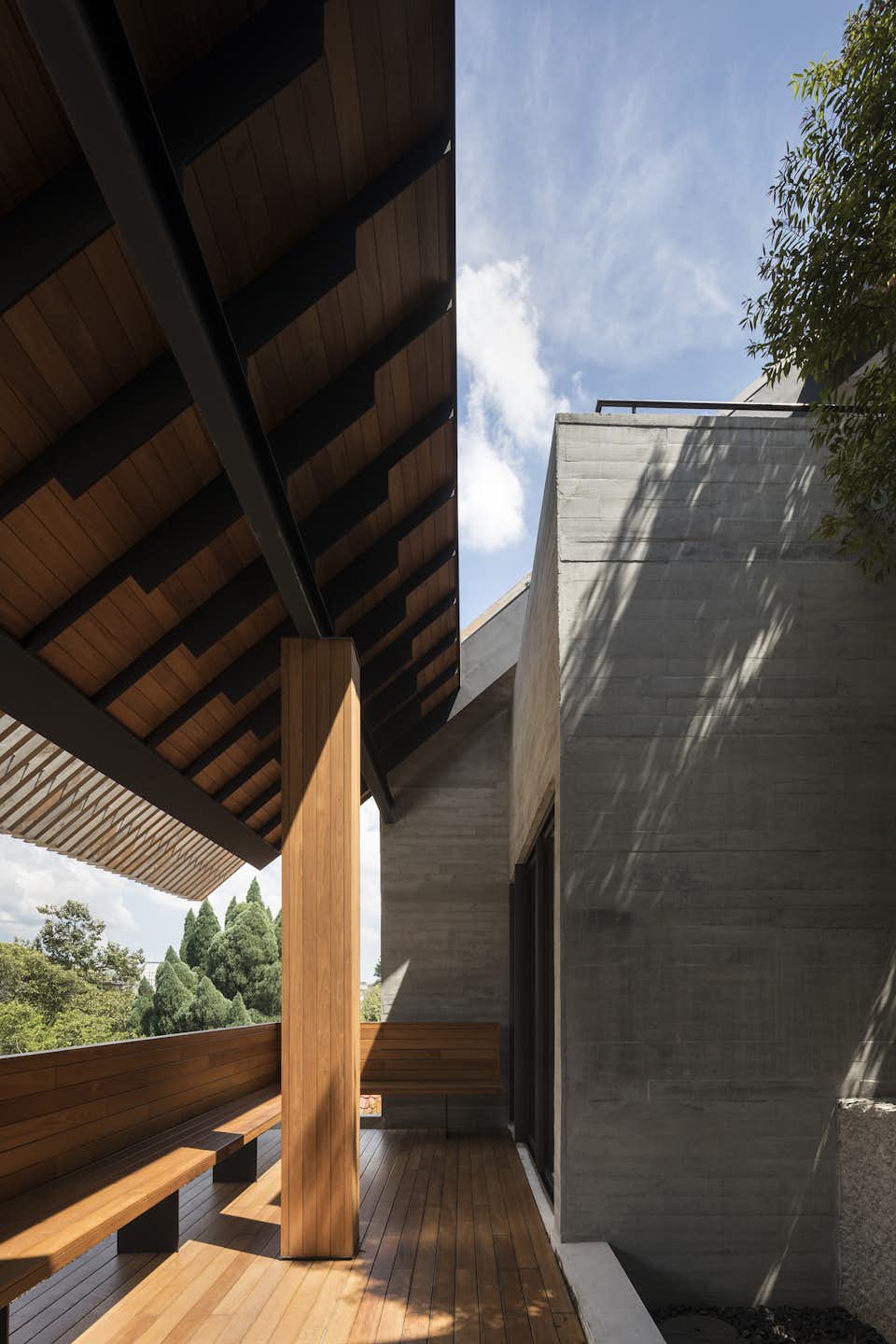 Photo 14 of 22 in A Towering Tree Grows Through the Roof of This ...