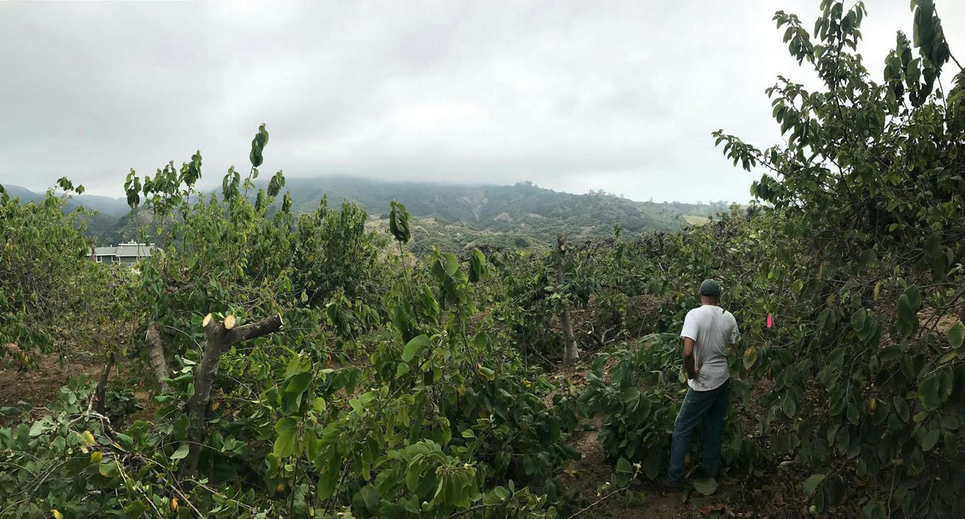 Photo 15 of 16 in Shepard Mesa House by Nabi Boyd - Dwell
