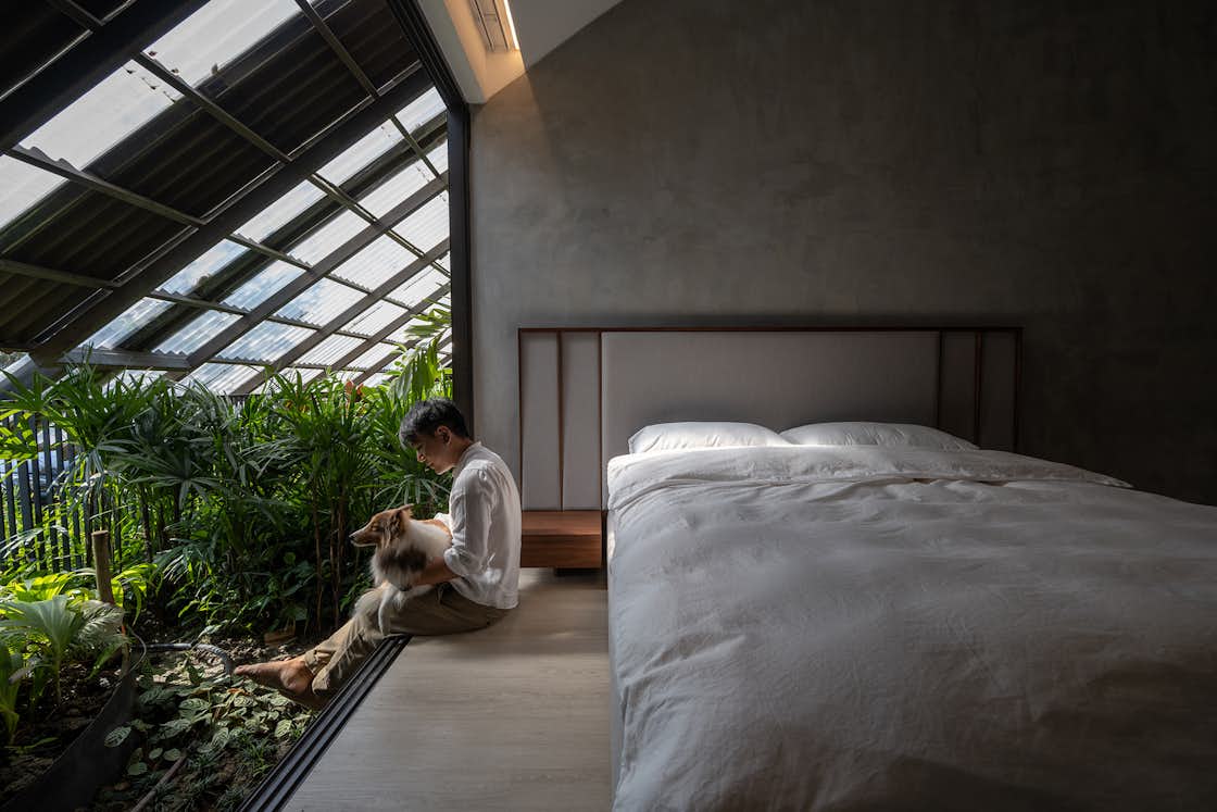 This “Dog House” in Thailand Is a Paradise for Man’s Best Friend - Dwell