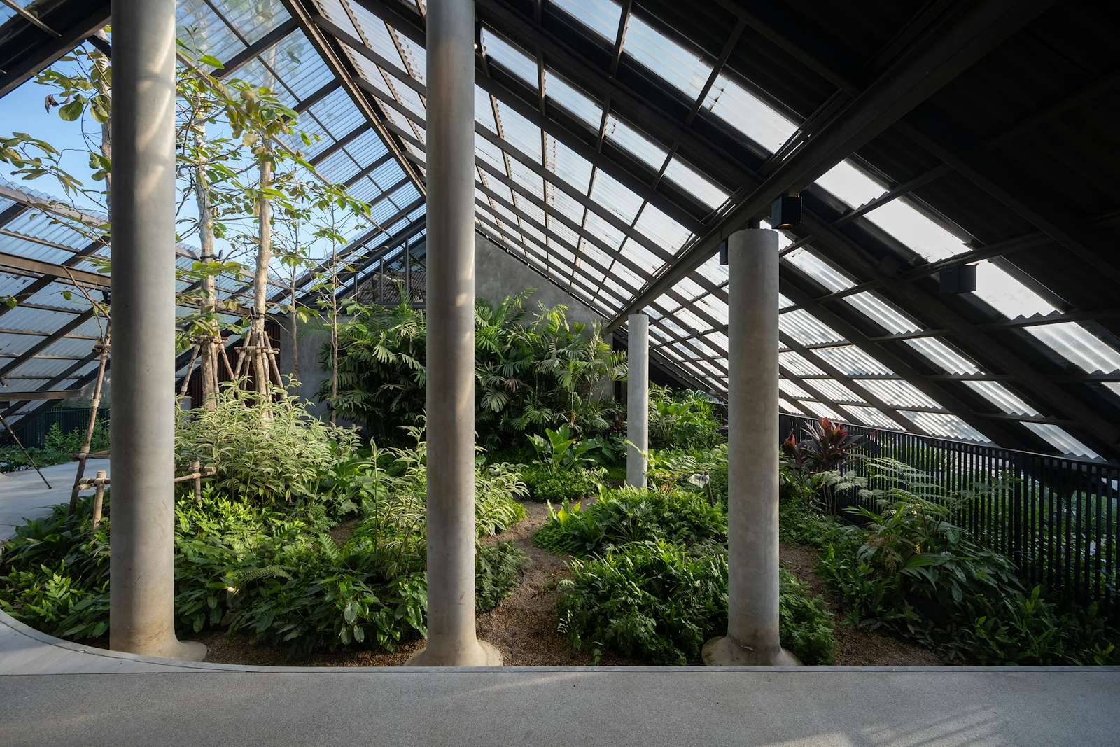 This “Dog House” in Thailand Is a Paradise for Man’s Best Friend - Dwell