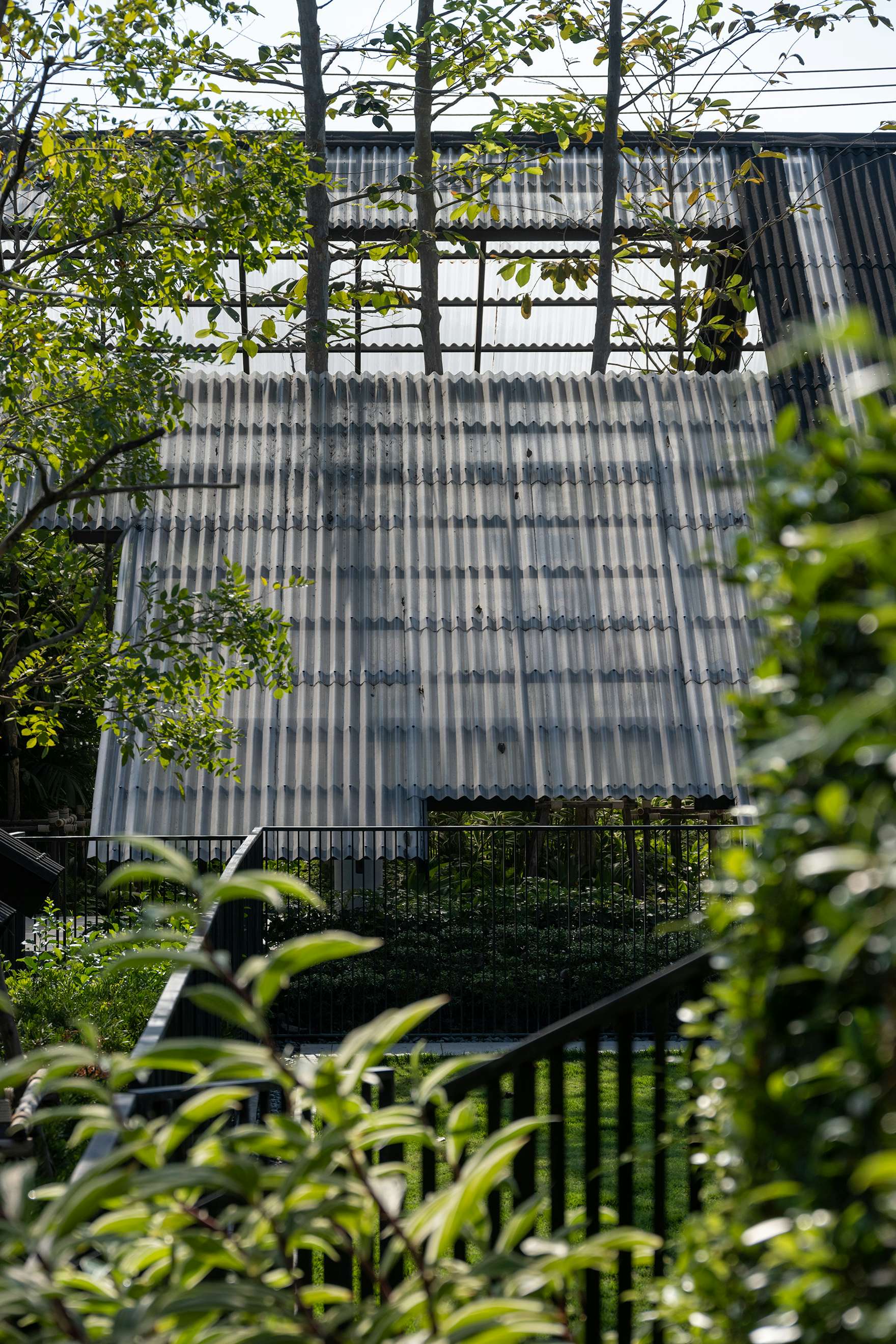 This “Dog House” in Thailand Is a Paradise for Man’s Best Friend - Dwell