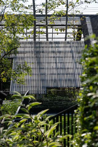 This “Dog House” in Thailand Is a Paradise for Man’s Best Friend - Dwell