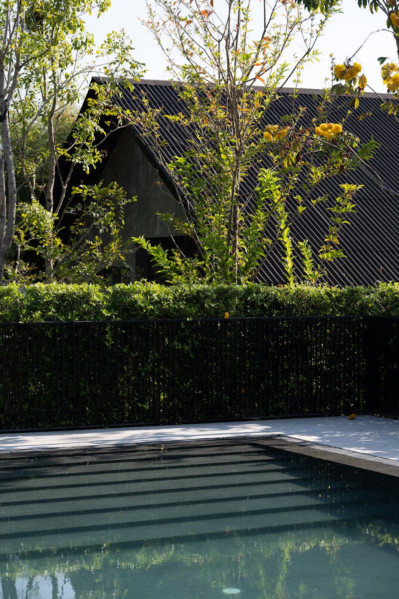 This “Dog House” in Thailand Is a Paradise for Man’s Best Friend - Dwell