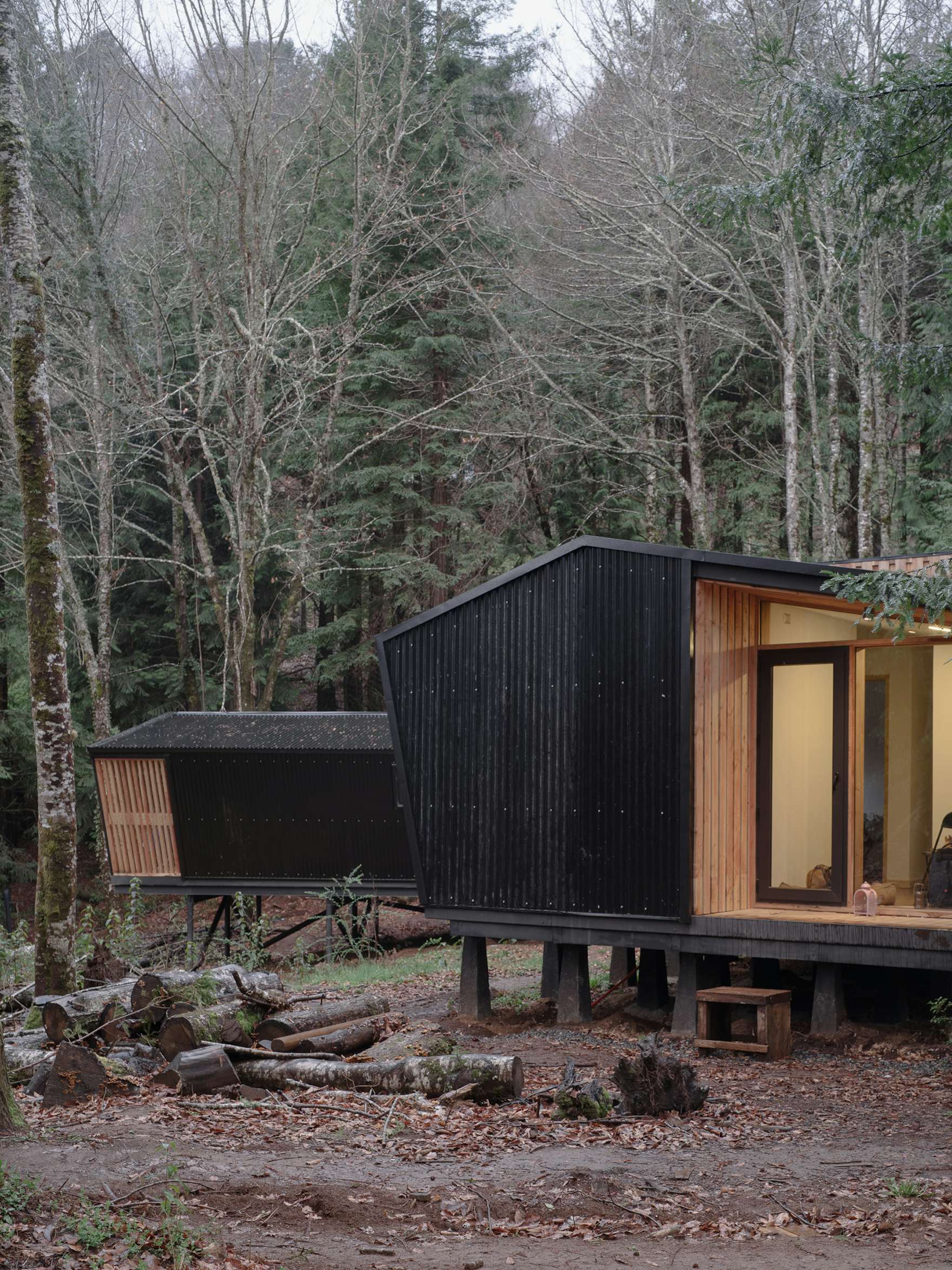 Photo 3 of 21 in The Only Way Through This Cabin in Chile Is Up Its ...