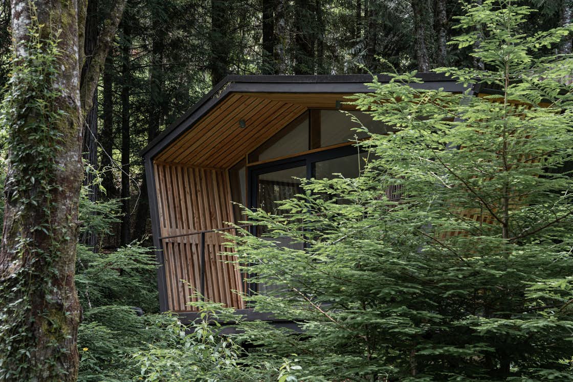 Photo 15 of 21 in The Only Way Through This Cabin in Chile Is Up Its ...