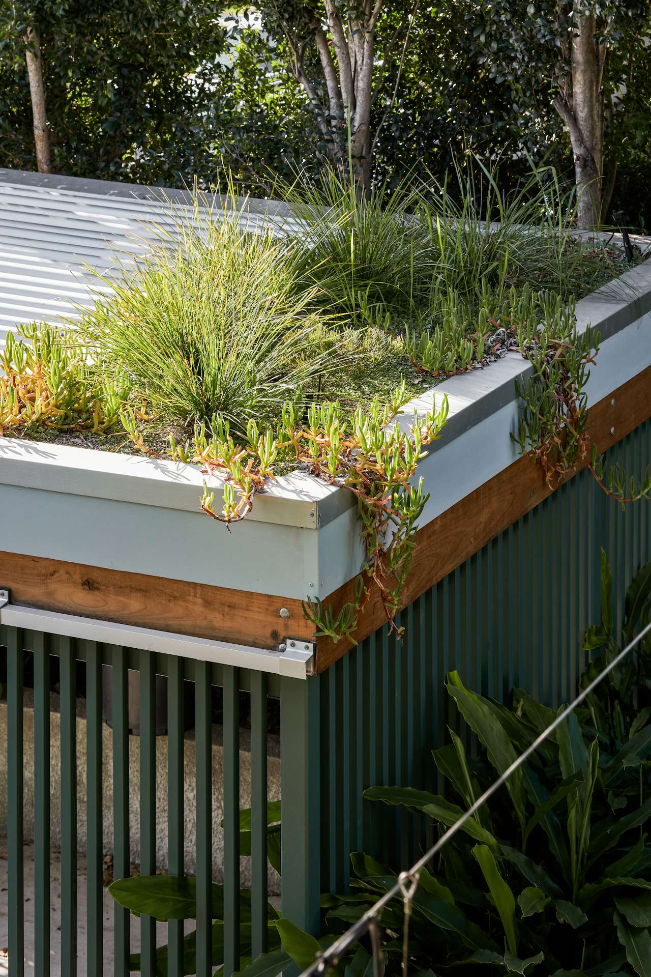 Photo 9 of 23 in An Improved Veranda and Shades of Green Make This ...