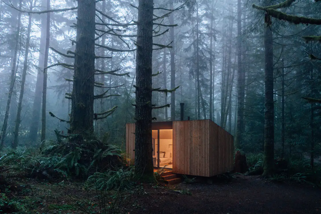 Photo 6 of 15 in Two Designers Build an Idyllic Cabin—and a Lifelong ...