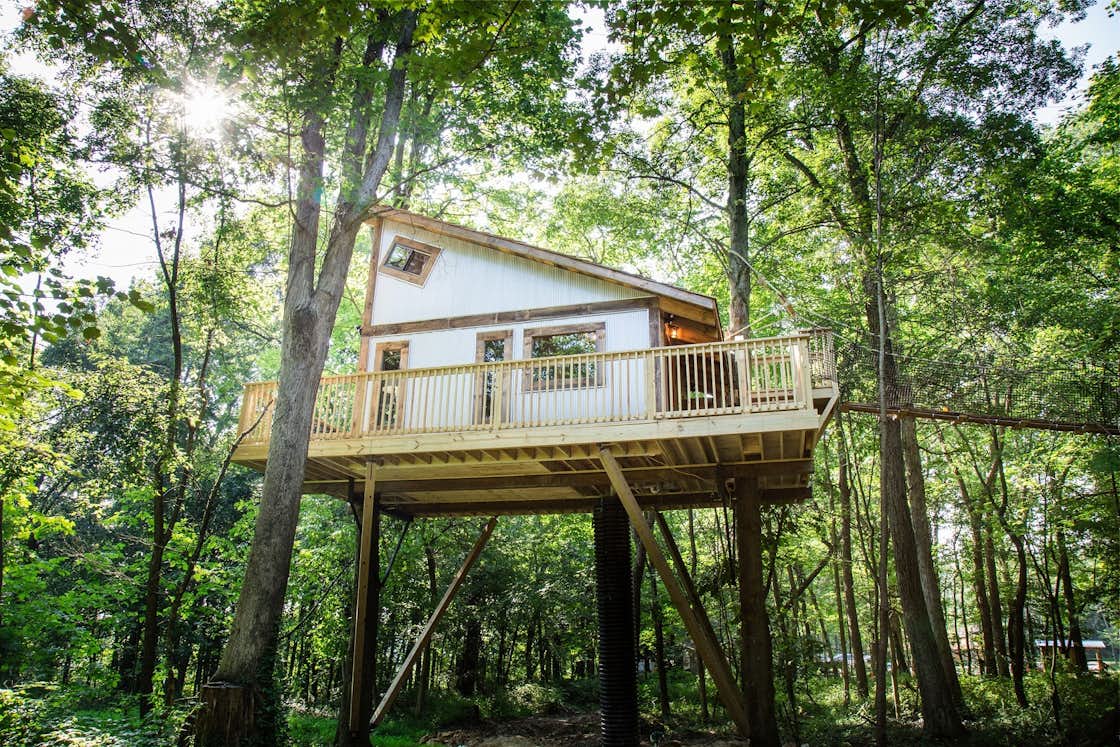 Photo 1 of 10 in Tin Shed Treehouse by Miguel DeJesus - Dwell