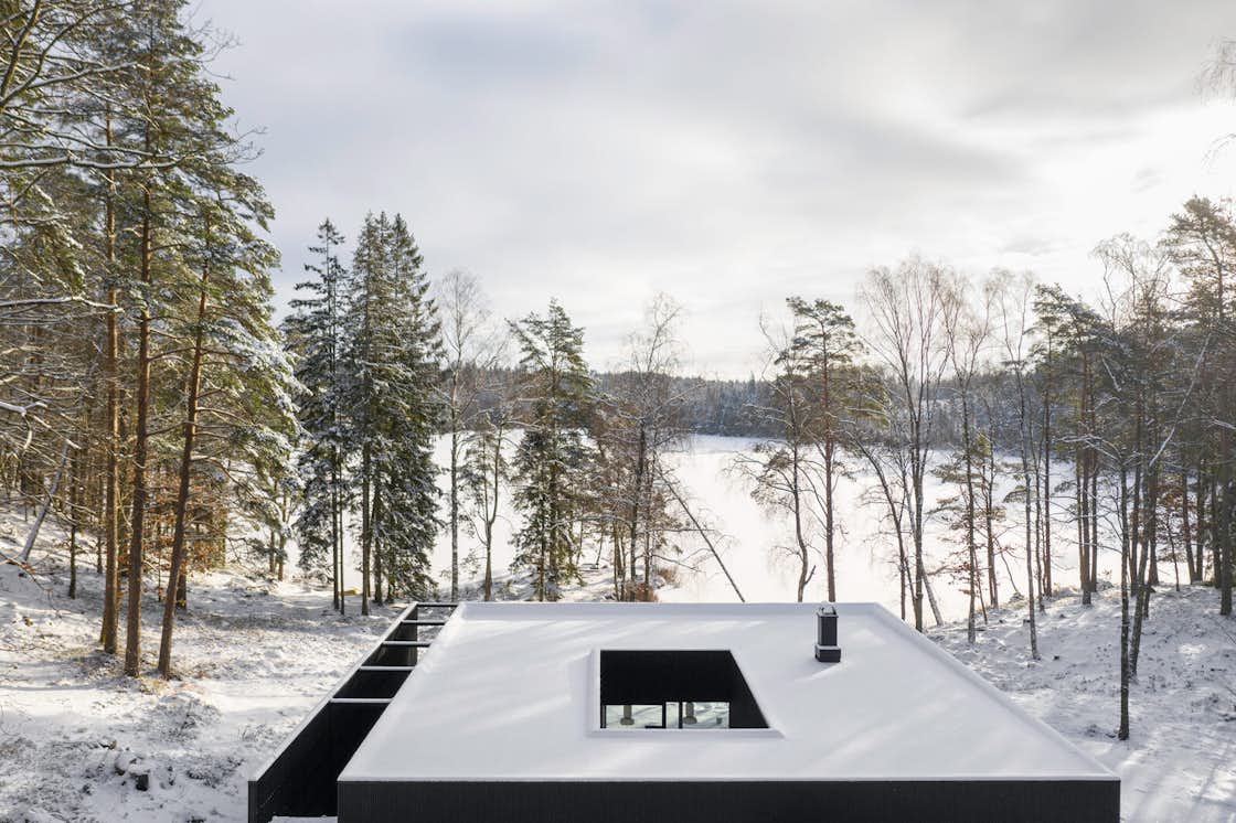 Photo 29 of 33 in Rhythmic Black Timber Makes This Swedish Cabin Pop ...