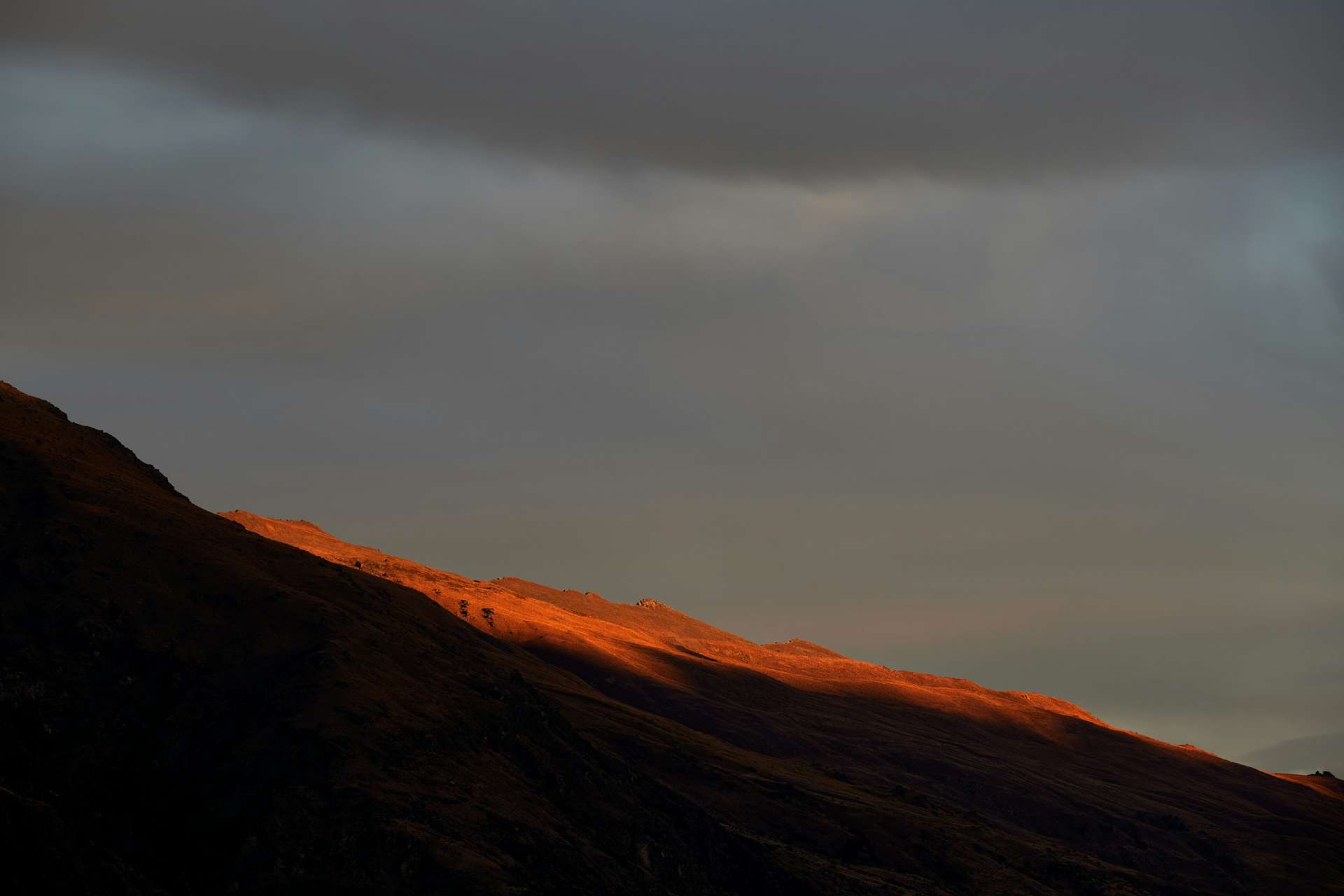 Photo 1 of 26 in Walls of Glass at This New Zealand Home Capture the ...