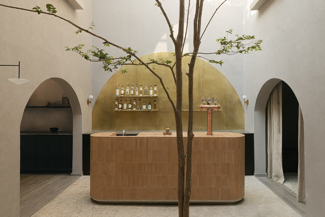 Latin American Homes: Design and ideas for modern living