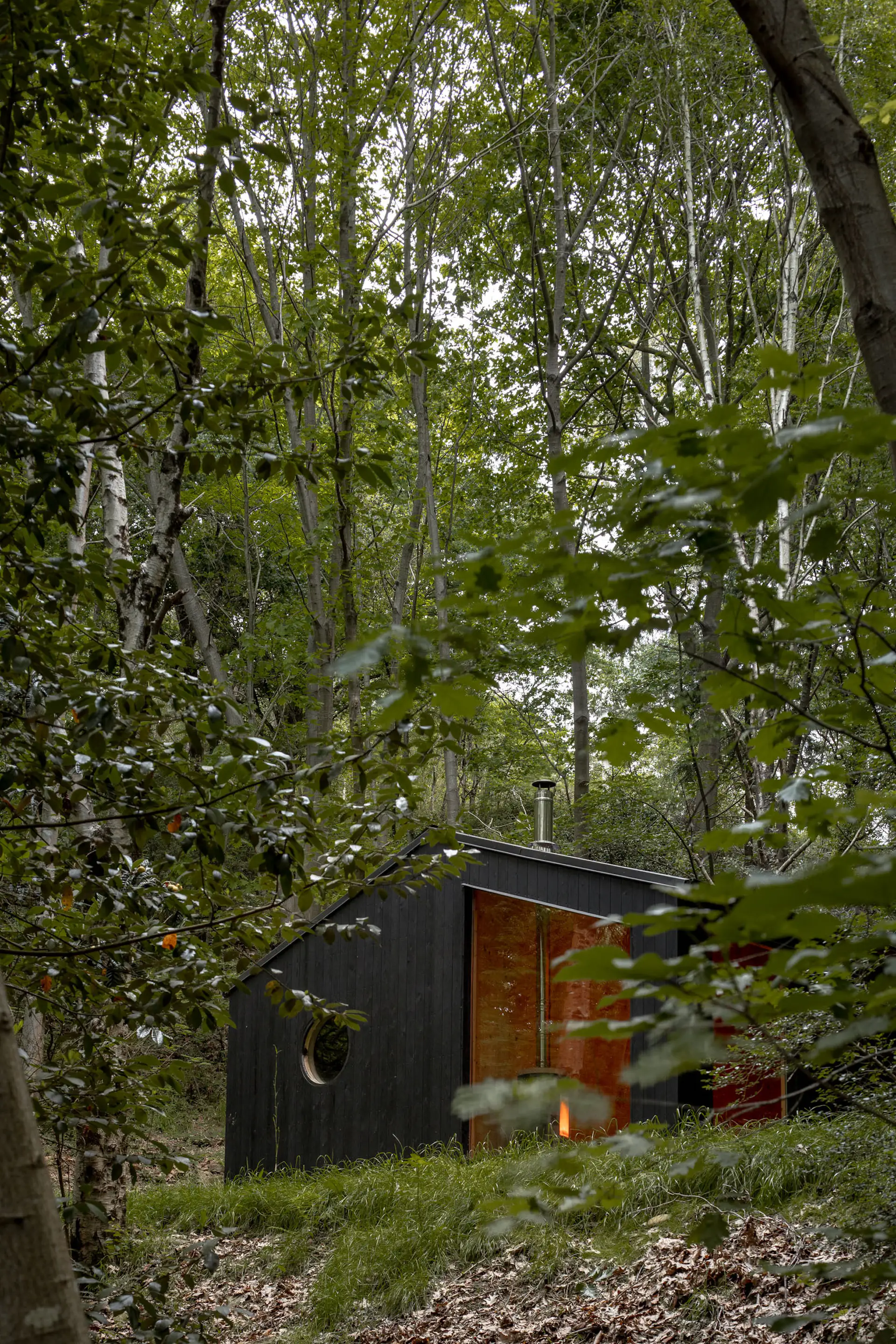 Photo 4 of 9 in A Shed in Spain’s Basque Country Is Reworked Into a ...