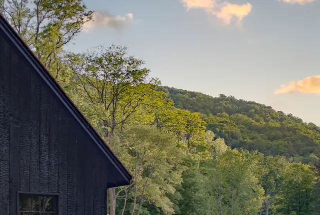 Photo 4 of 16 in Refreshing This 1930s Catskills Cabin Made It Just the ...