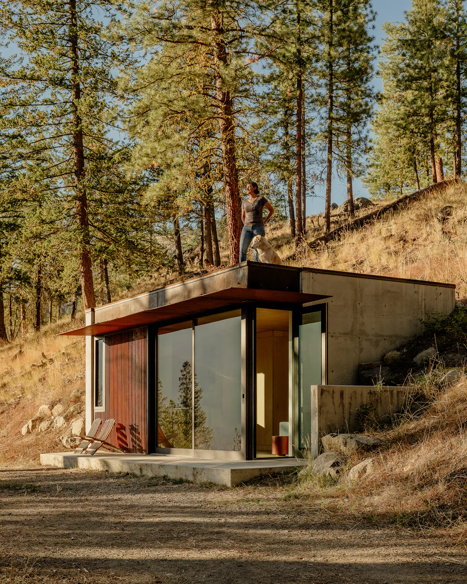 Photo 3 of 13 in She Built a 330-Square-Foot Cabin in One of Washington ...