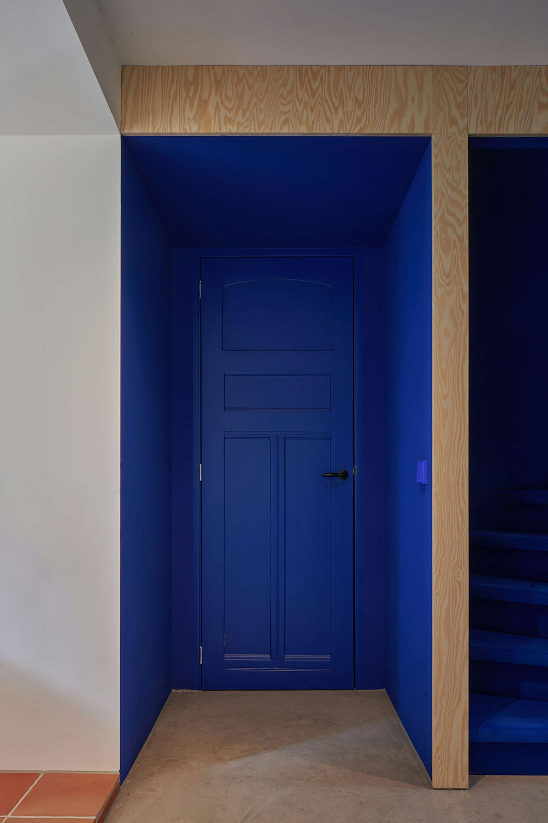 Photo 8 of 11 in A Blue Felt Stair Pops in This Rustic Rotterdam Home ...