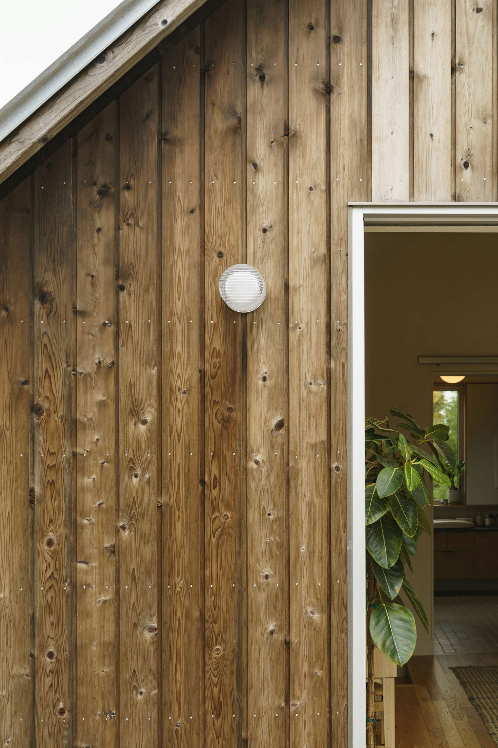 Photo 11 of 15 in This Backyard House in Austin Maxes Out the City’s ...