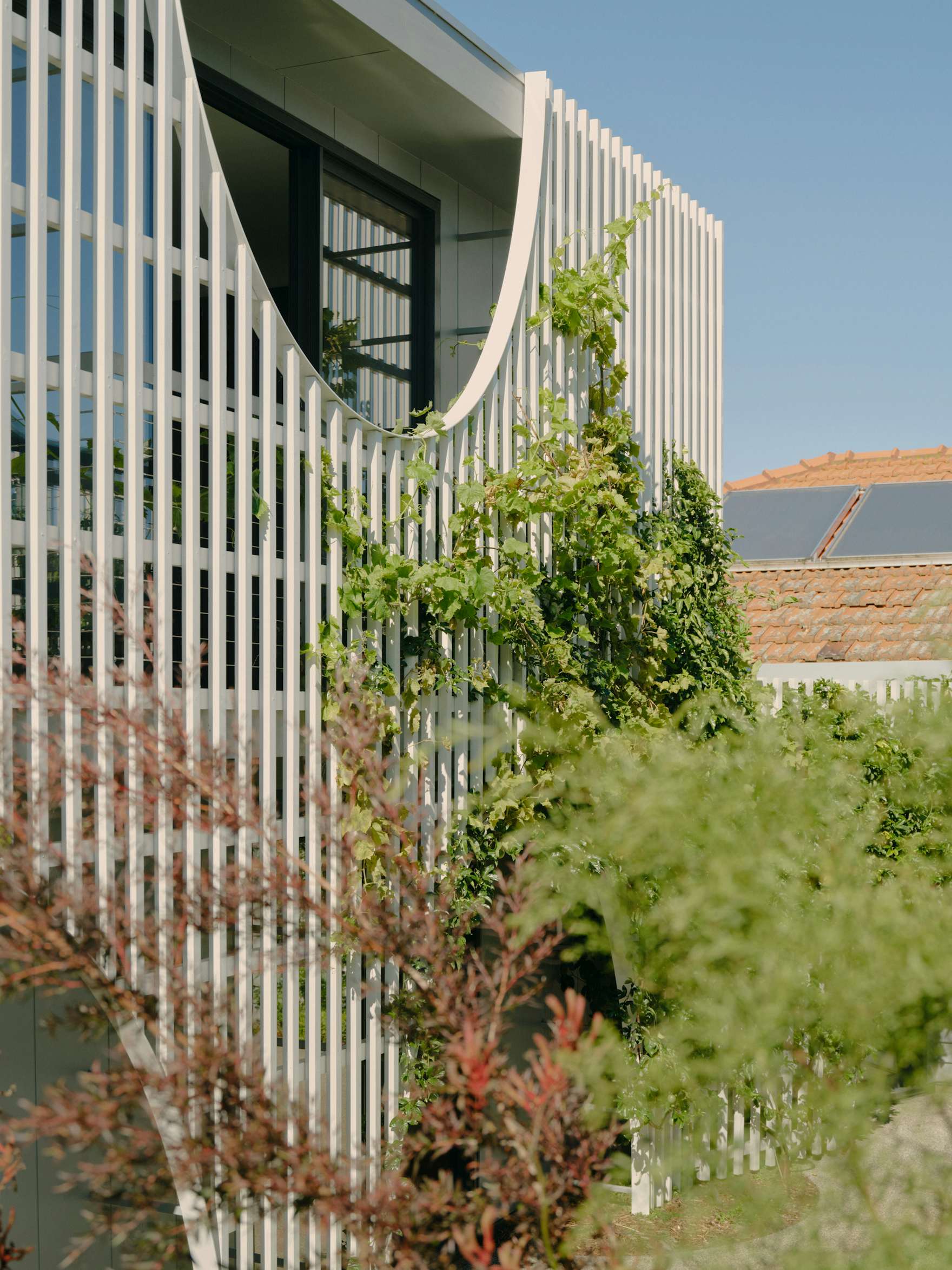 Photo 4 of 13 in A Renovation Expands an Existing Pergola For a ...