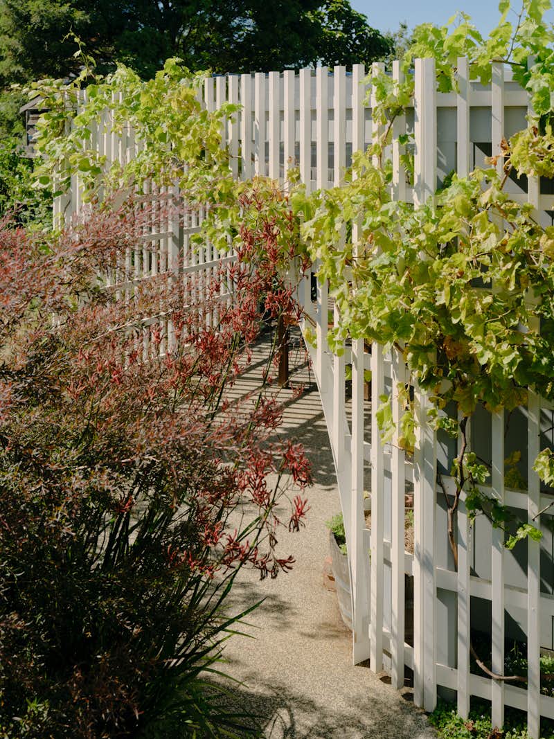 Photo 12 of 13 in A Renovation Expands an Existing Pergola For a ...
