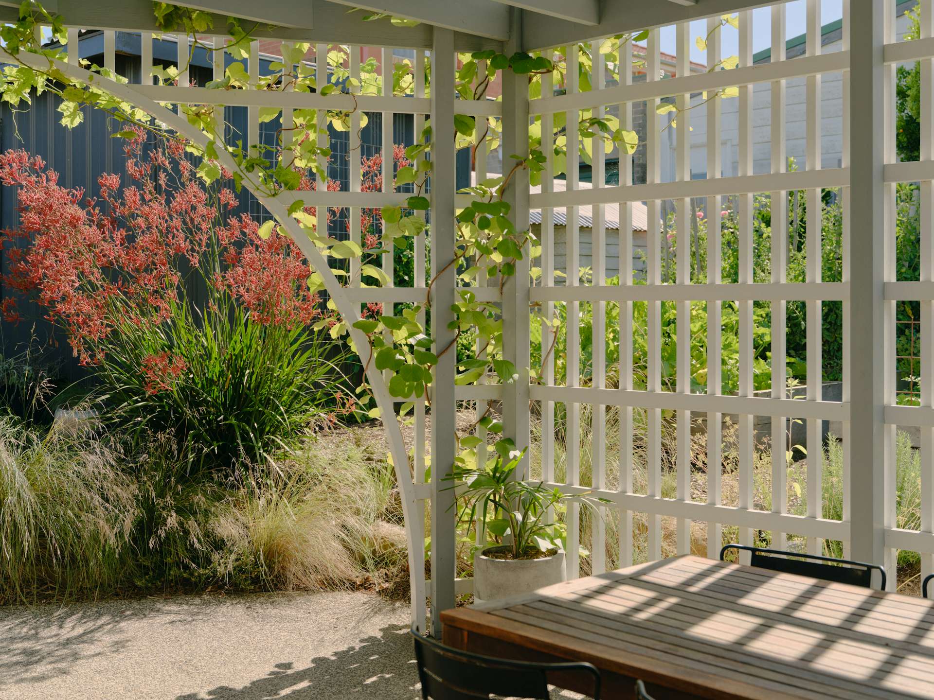 Photo 13 of 13 in A Renovation Expands an Existing Pergola For a ...