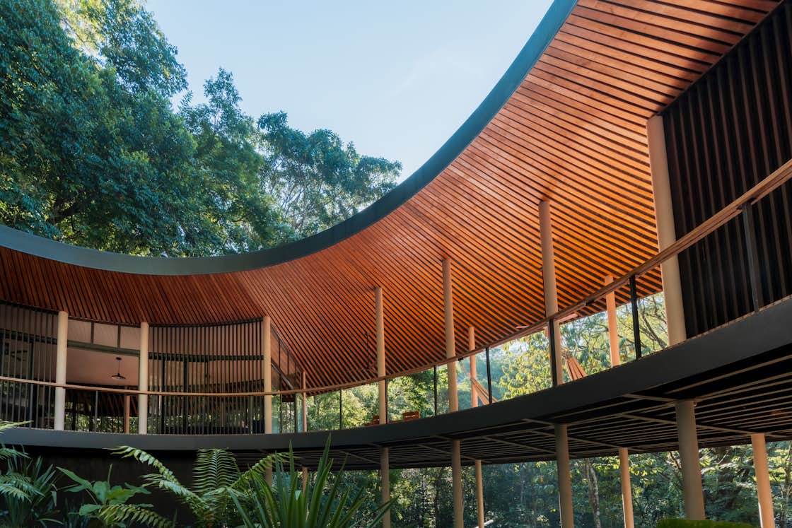 Photo 9 of 16 in Macaws and Howler Monkeys Are the Neighbors at This ...